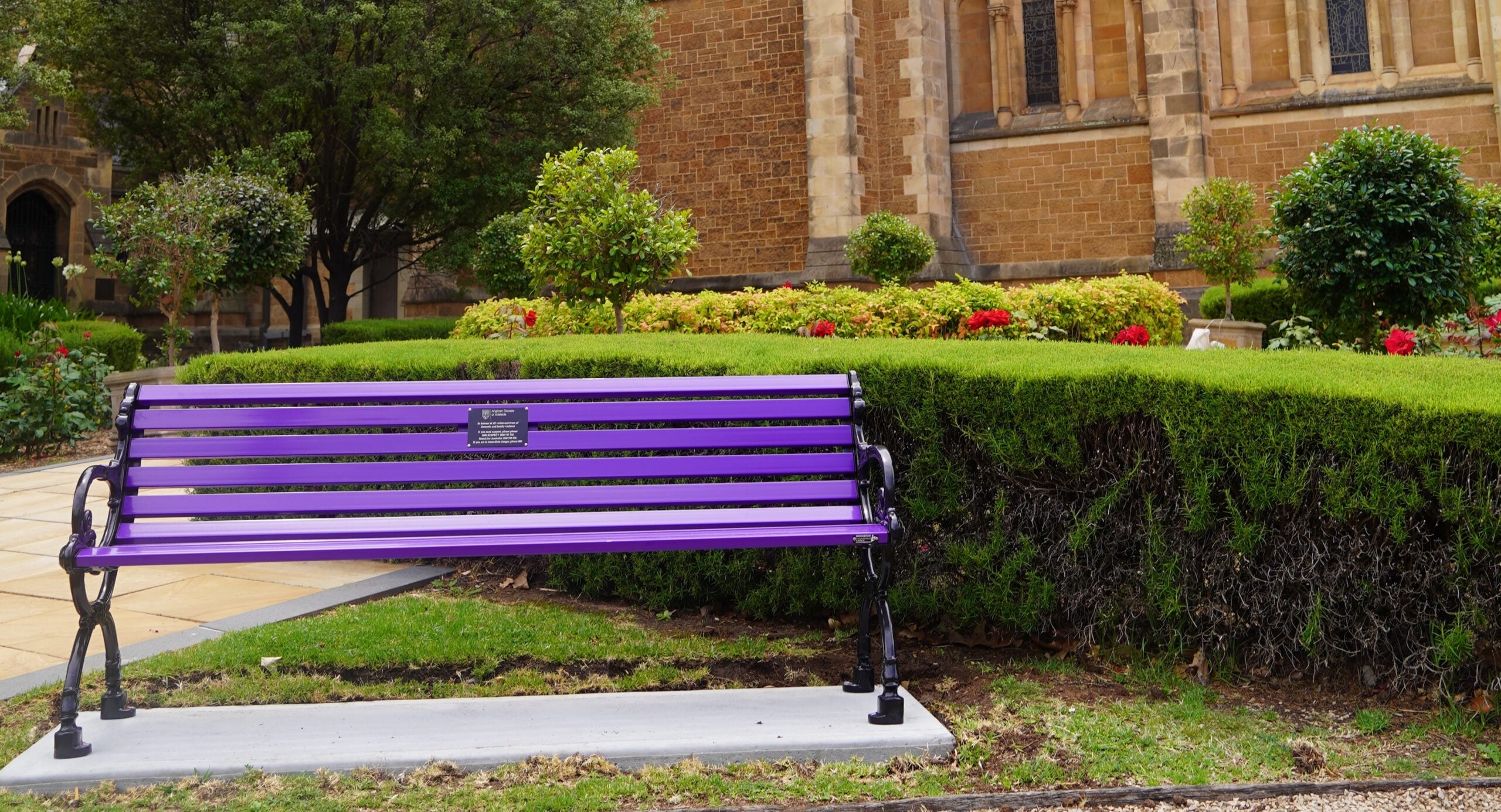 Purple benches to pop up across Adelaide to support victims of violence ...